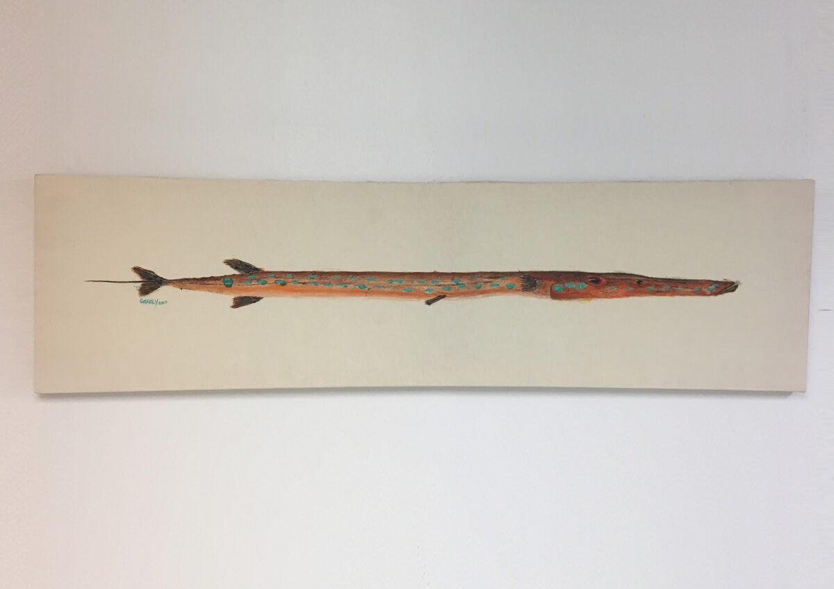 _0000_Trumpet Fish 57 x 16 – Gnarly Fish Prints