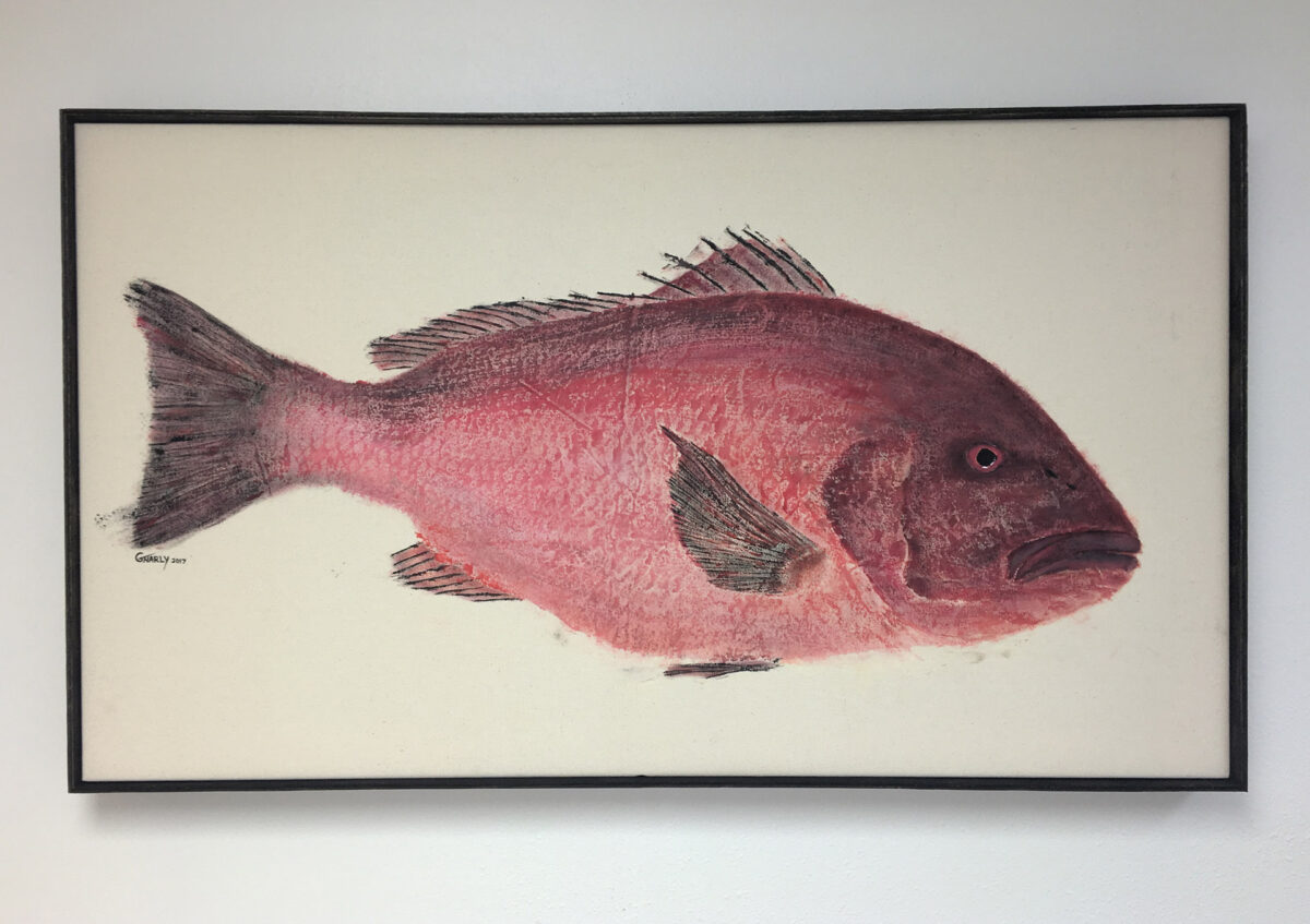 _0002_Red snapper 42 x 25 – Gnarly Fish Prints