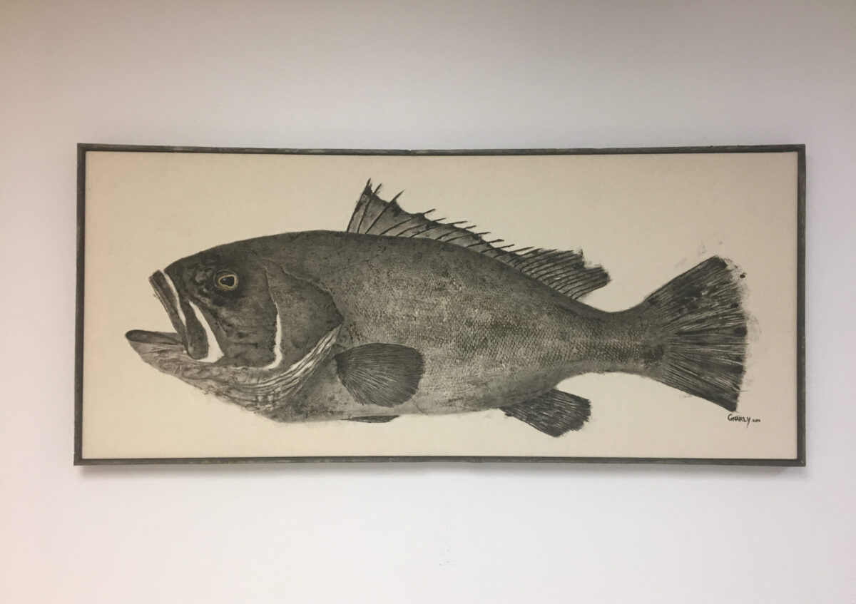 Black Grouper – Gnarly Fish Prints