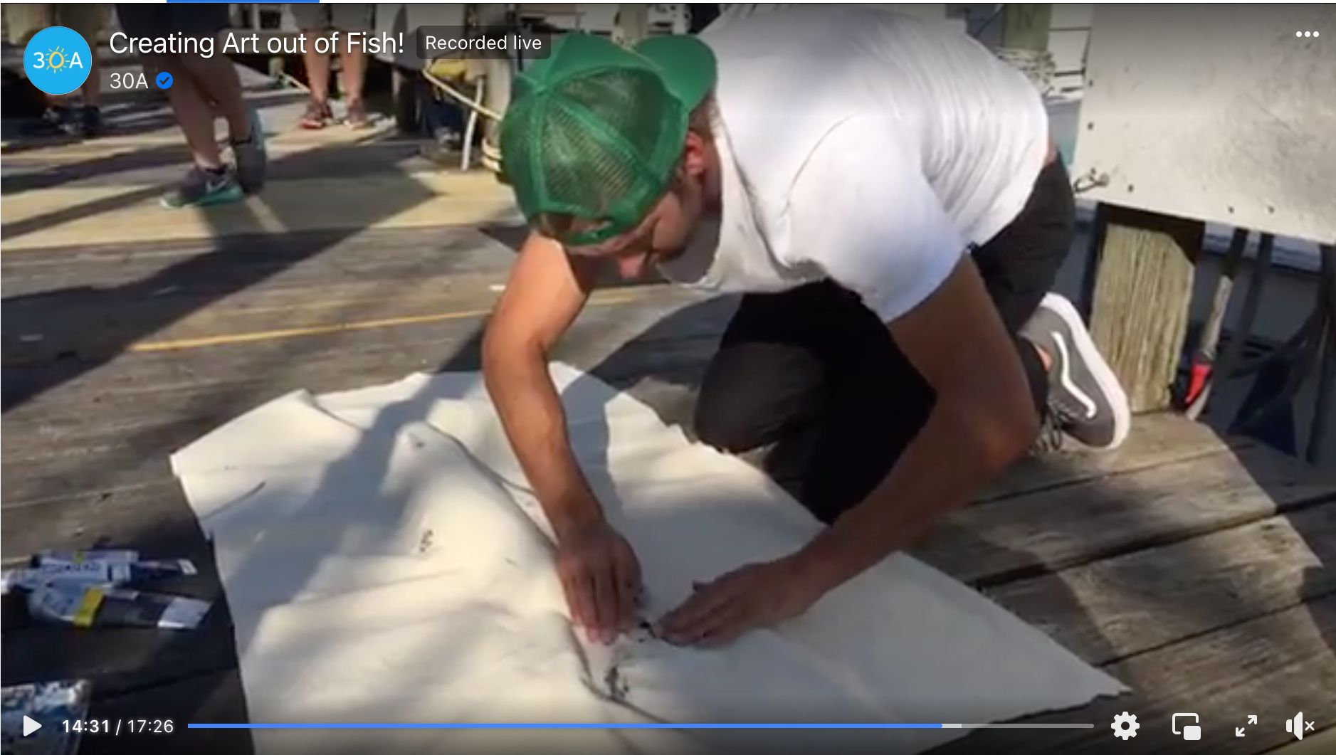 30A Live coverage - Gnarly Fish Prints